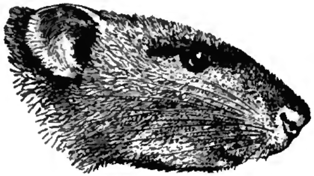 Open Maritime Risk Analysis Tool — QGIS Python Plugins Repository