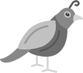 QCarta — QGIS Python Plugins Repository